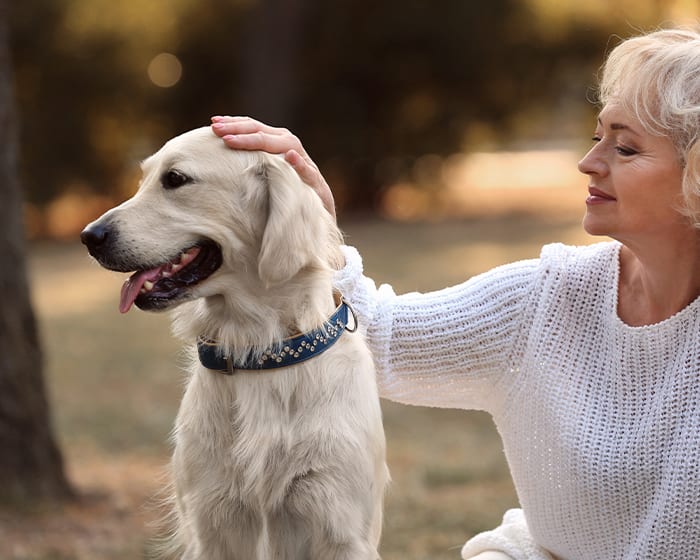 Pet Vaccinations Scottsdale | Cat & Dog Vaccination Clinic Pet Vaccinations Scottsdale | Cat & Dog Vaccination Clinic